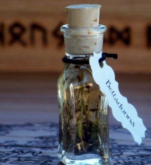 Rosliny magiczne – Dymnica pospolita – dusze roslin, Rosliny Mocy a ...